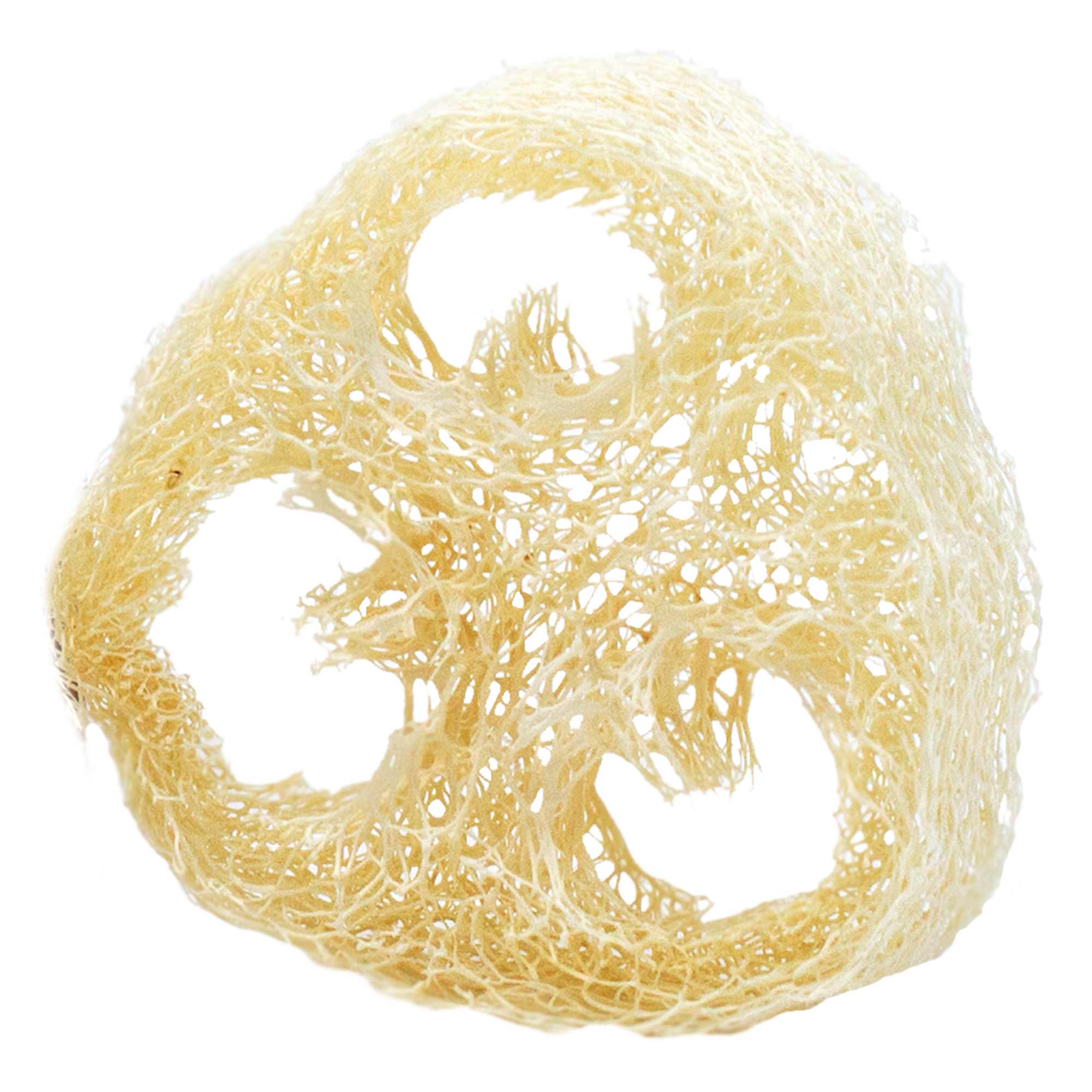 Luffa-Scheibe - festes Shampoo und Seife aufbewahren